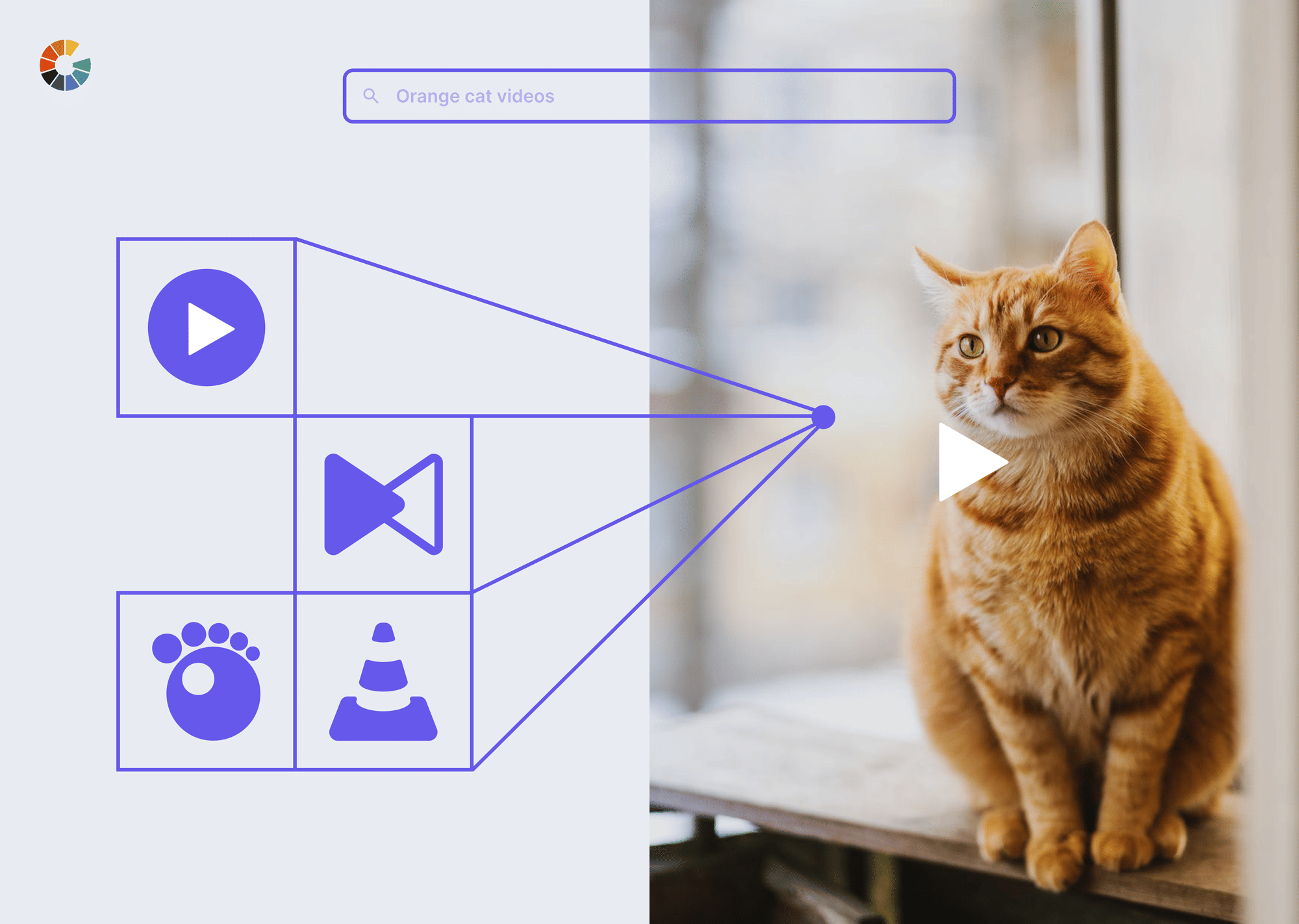 Top 10 Online MP4 Players in 2025 (Free and Paid)