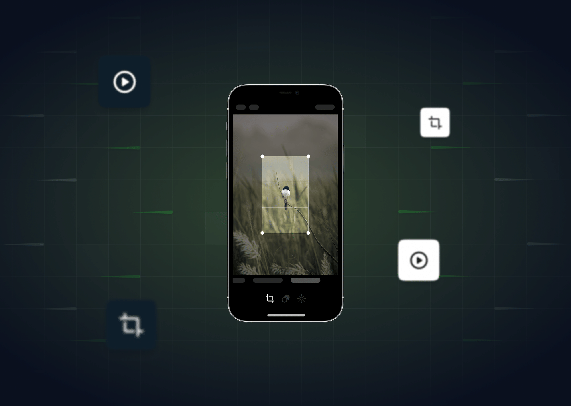 How to Crop a Video on an iPhone?